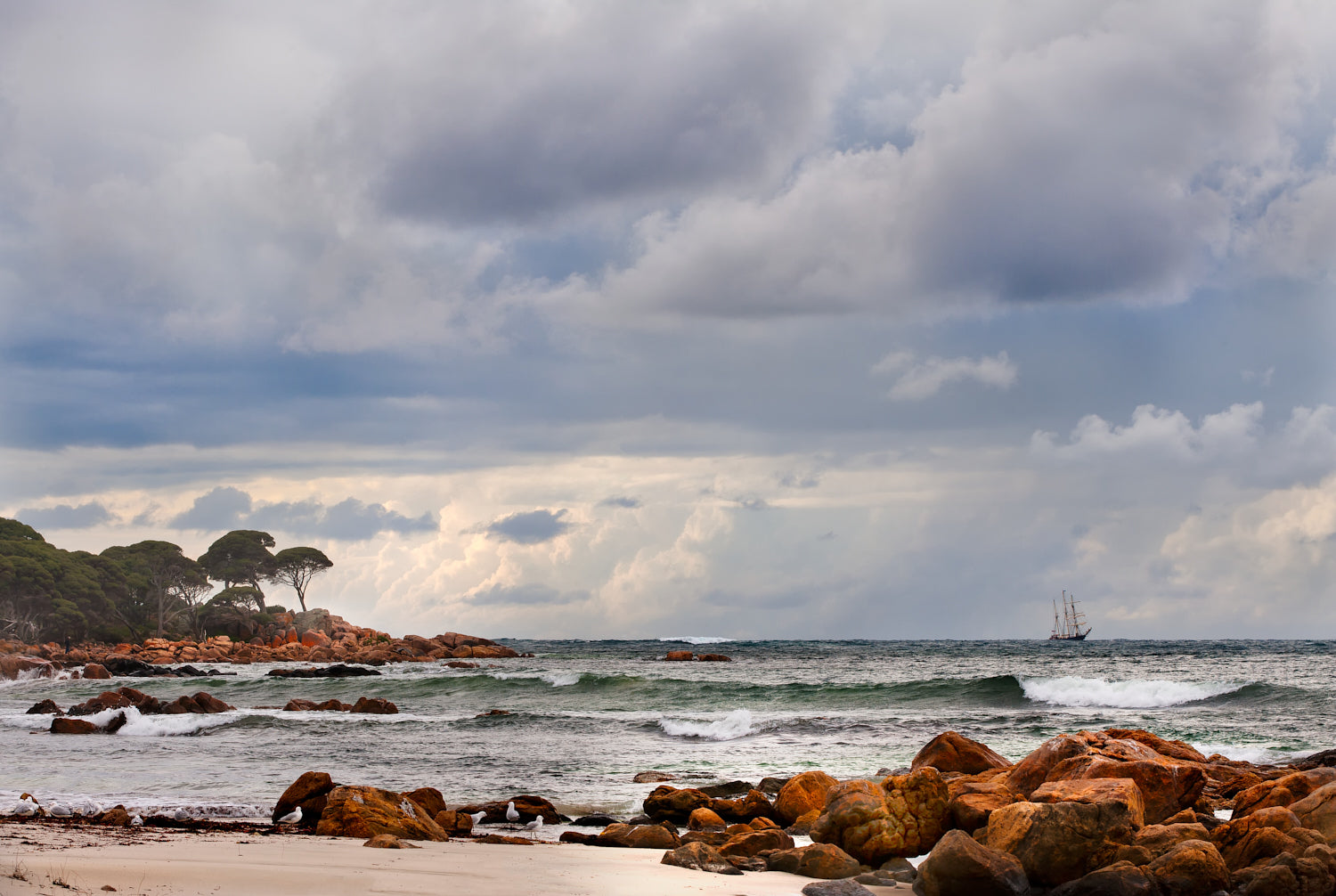 The Leeuwin Bunker Bay – Roy Bolton Photography